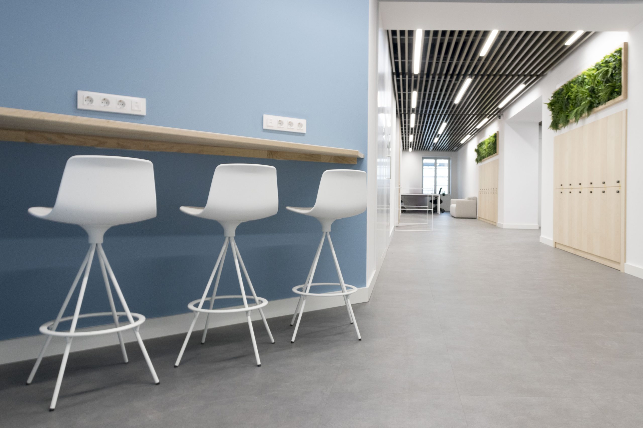 TransPerfect Barcelona: design of the 6th and 7th floors | Efebé